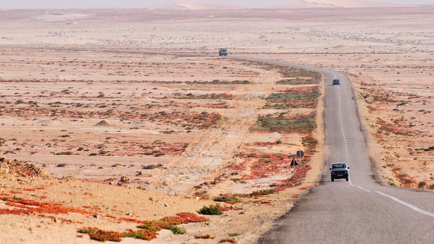 Deutscher Bundestag - Abgesetzt: Debatte über Situation in der Westsahara